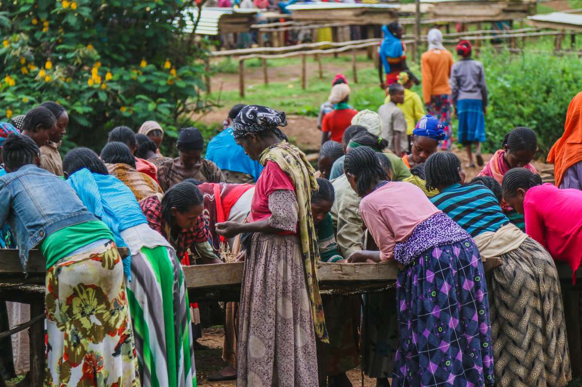 LIMU DJIMMAH – FAMILIA OSORIO COFFEE