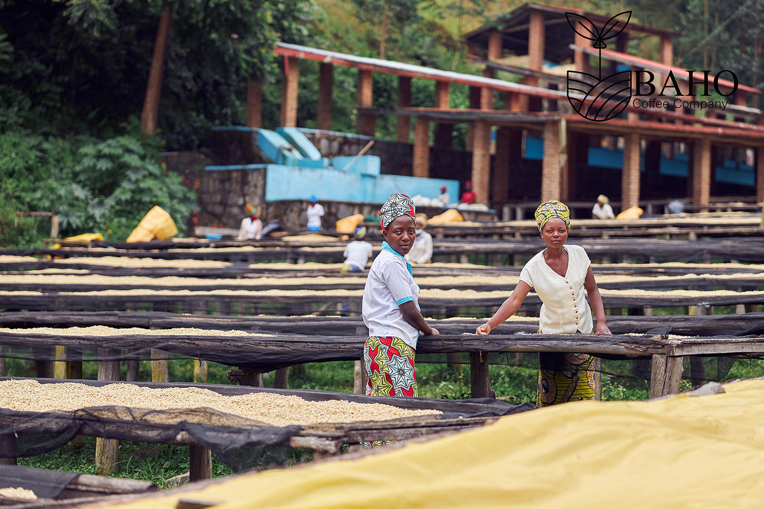 RWANDA NGOMA – FAMILIA OSORIO COFFEE